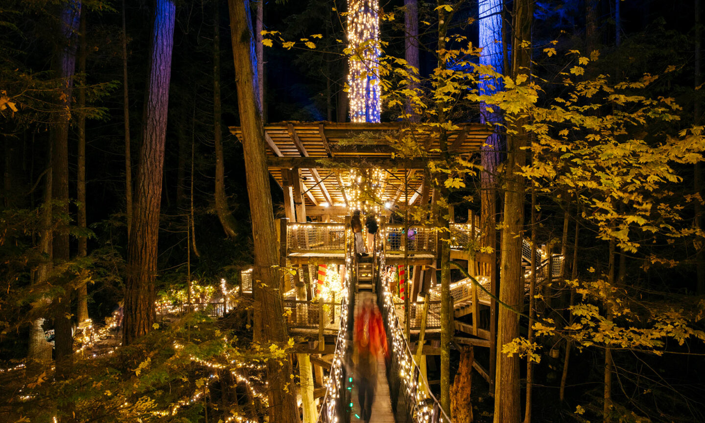 Canyon Lights | Capilano Suspension Bridge Park