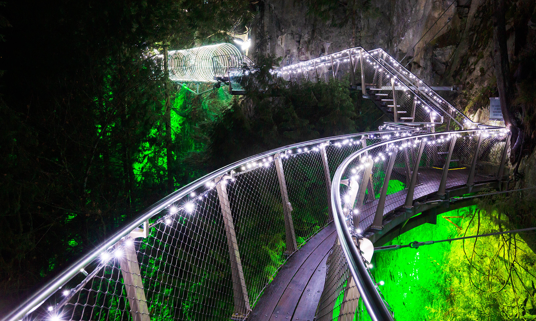 Canyon Lights | Capilano Suspension Bridge Park
