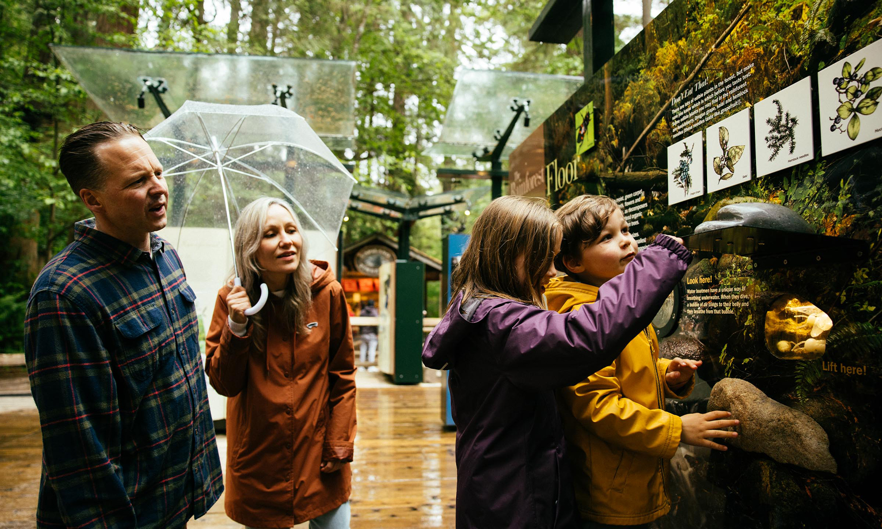 Living Forest Exhibit | Capilano Suspension Bridge Park