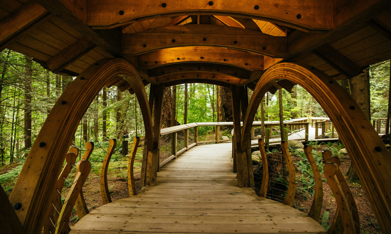 Living Forest Exhibit | Capilano Suspension Bridge Park