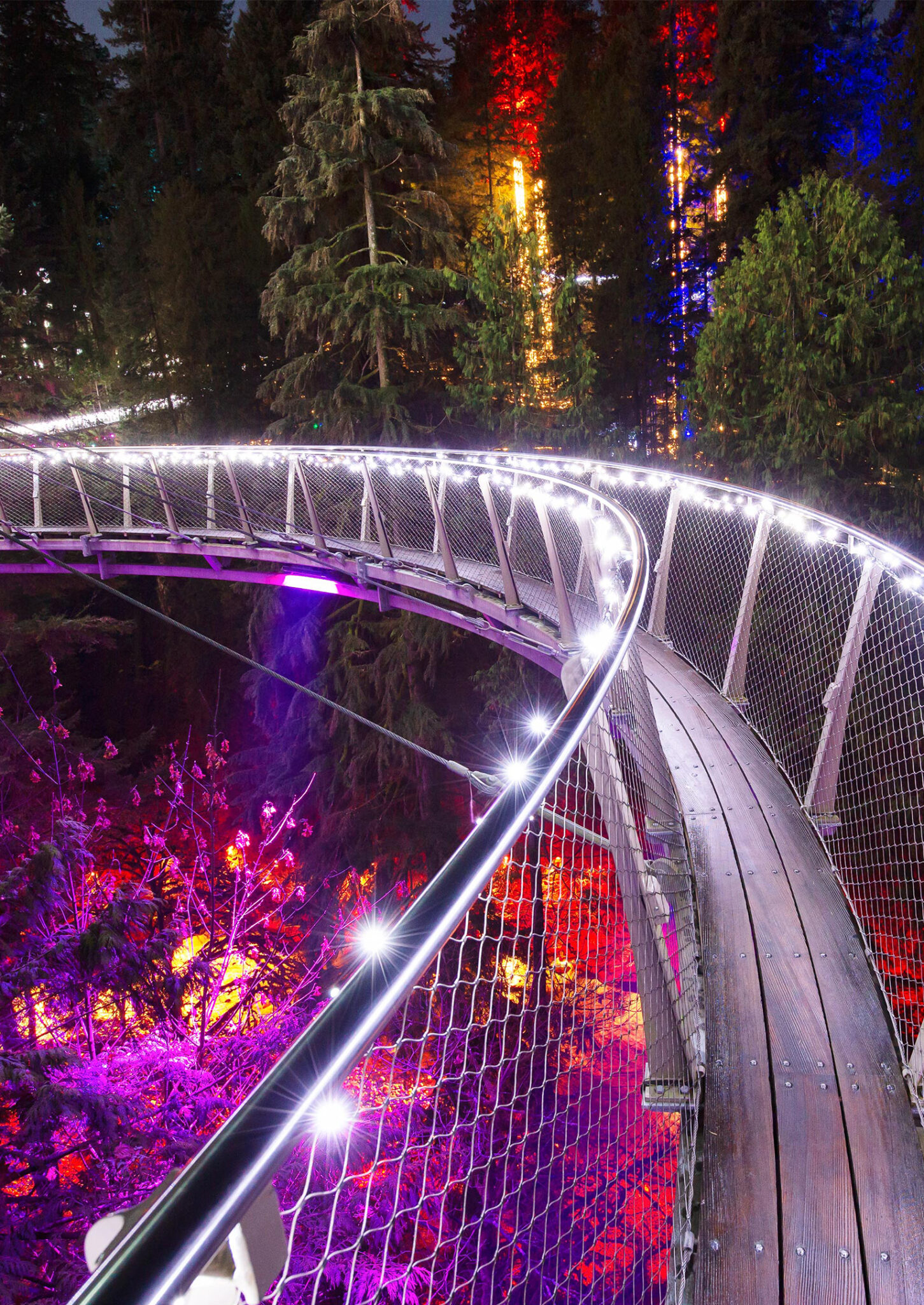 Capilano Suspension Bridge Park | Love Lights