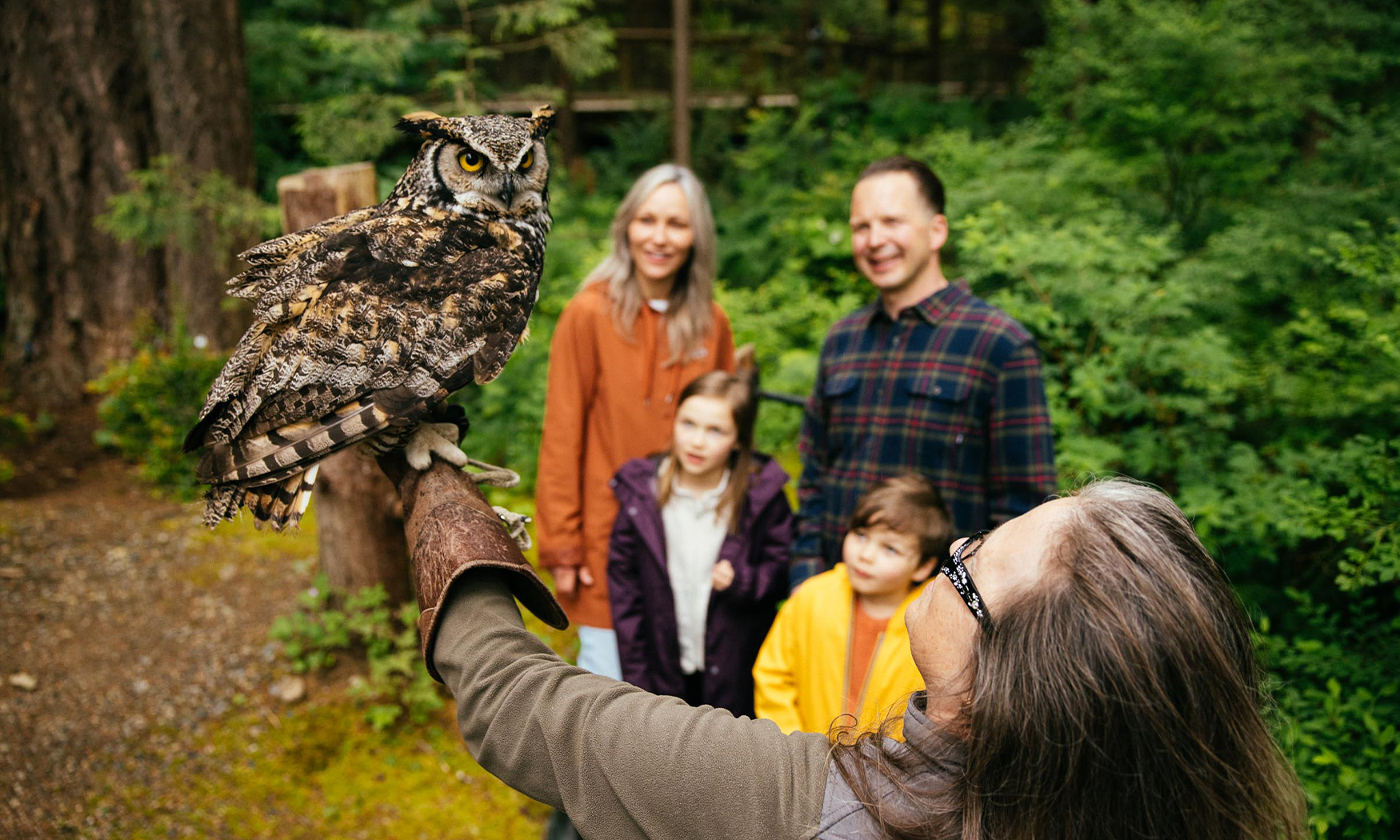 Raptors Ridge Birds of Prey | Capilano Suspension Bridge Park