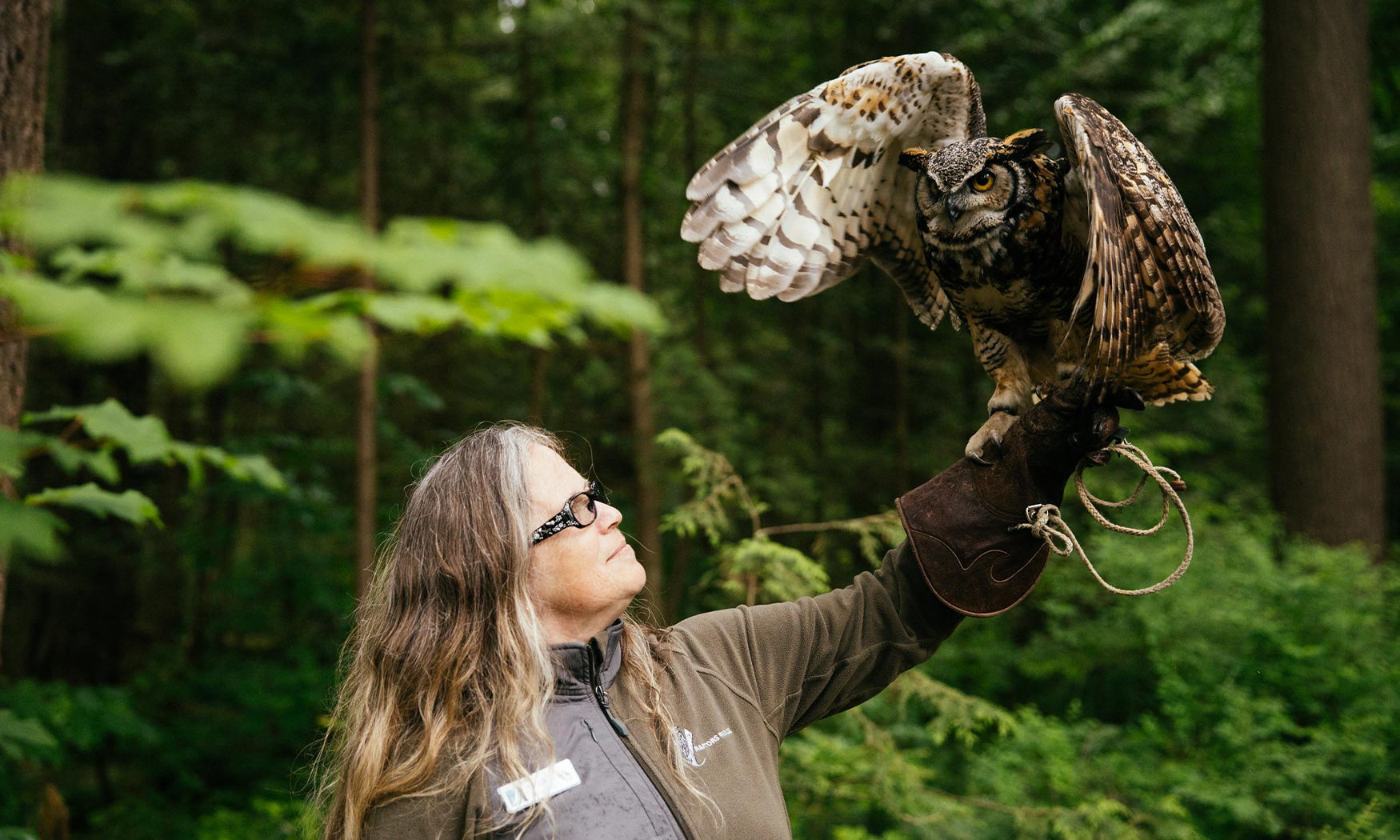 Raptors Ridge Birds of Prey | Capilano Suspension Bridge Park