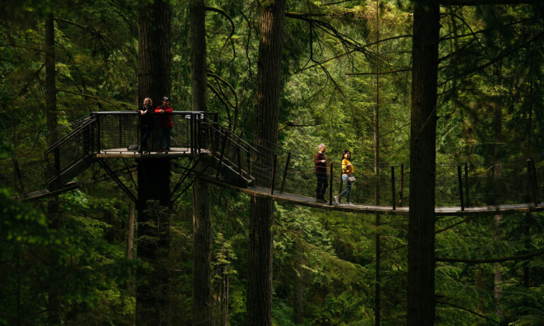 Treetops Adventure | Capilano Suspension Bridge Park