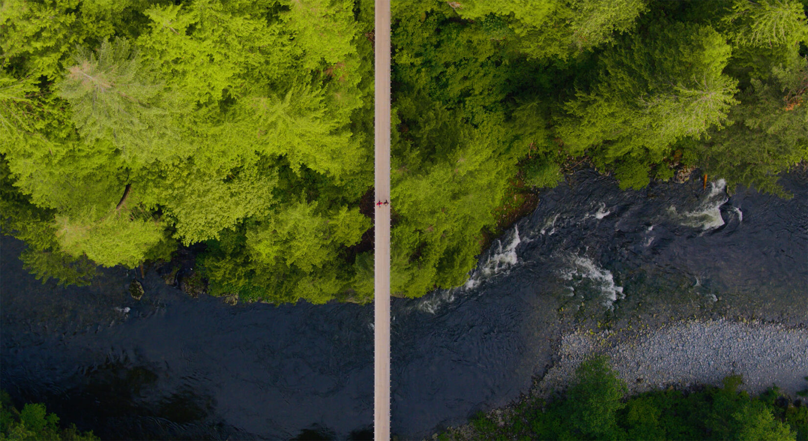 Capilano Suspension Bridge Park | North Vancouver, BC