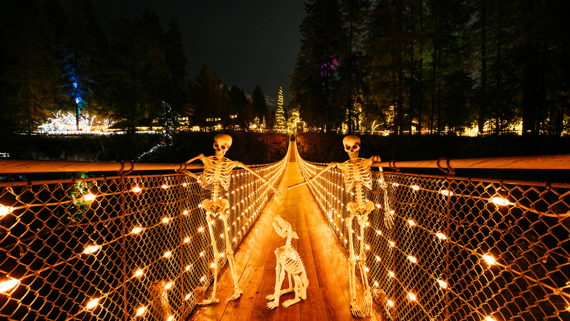 Capilano Suspension Bridge Park | North Vancouver, BC