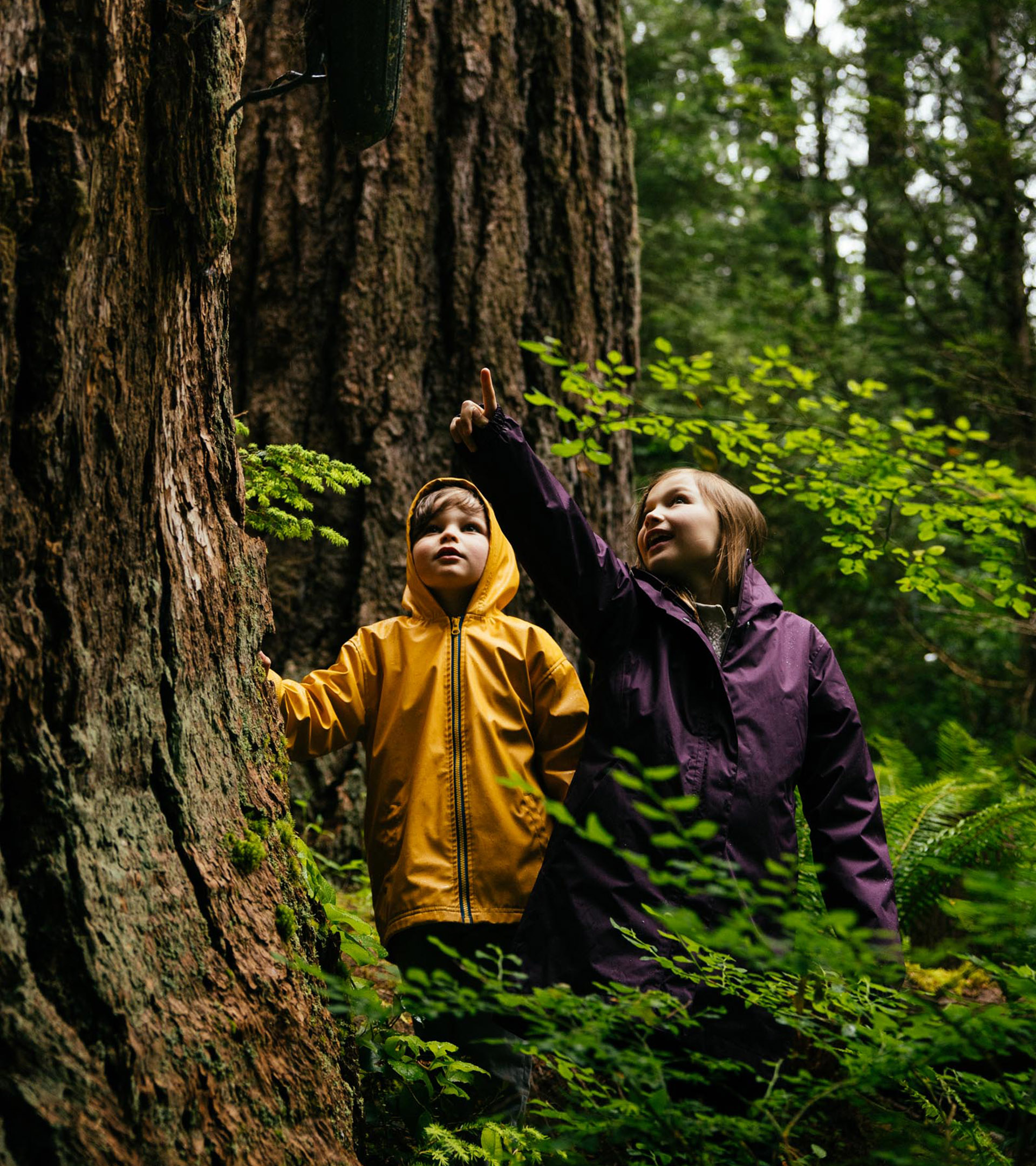 Cap Kids | Capilano Suspension Bridge Park